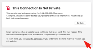 How to Connect to your AWS Cloud Server with NICE DCV | NI SP