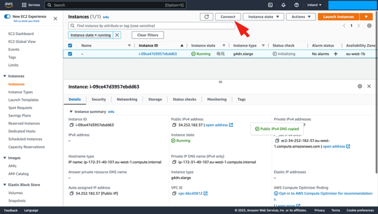 How To Connect To Your Aws Cloud Server With Nice Dcv Ni Sp